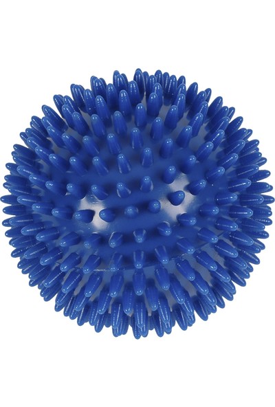 Maxi Msd El Egzersiz Masaj ve Duyu Topu , Yumuşak Dikenli Top Mavi Renk 10 cm Maxi Msd El Egzersiz Masaj ve Duyu Topu , Yumuşak Dikenli Top Mavi Renk 10 cm