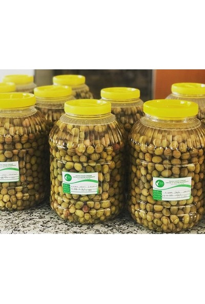 Salihli Kadın Girişimi Edremit Kırma Yeşil Zeytin Salihli Kadın Girişimi Edremit Kırma Yeşil Zeytin