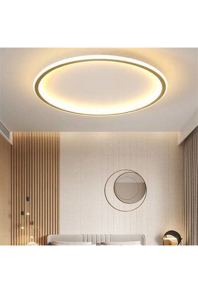 Decobulvar DCT54104 50W Ledli 3000K (Gün Işığı) Iç ve Dış Işık 40CM Tavan Armatürü Decobulvar DCT54104 50W Ledli 3000K (Gün Işığı) Iç ve Dış Işık 40CM Tavan Armatürü