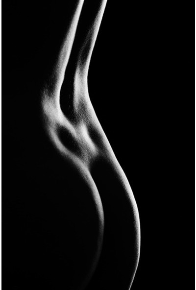 Tablo Life Bel Gamzesi - Kanvas Tablo