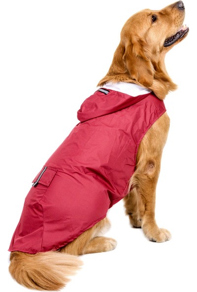 Shopfocus Köpek Pet Yağmurluk (Yurt Dışından)