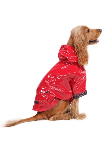 Apac.co Köpek Kıyafeti Chic Amazon Kırmızı Rugan Yağmurluk Apac.co Köpek Kıyafeti Chic Amazon Kırmızı Rugan Yağmurluk