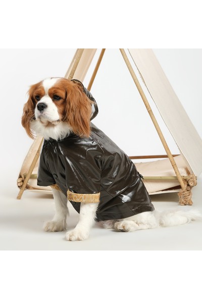 Apac.co Köpek Kıyafeti Chic Amazon Haki Rugan Yağmurluk Apac.co Köpek Kıyafeti Chic Amazon Haki Rugan Yağmurluk