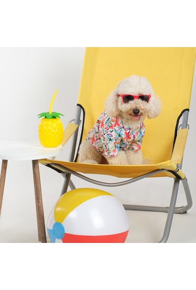 Apac.co Köpek Kıyafeti Hollie Hawai Gömlek