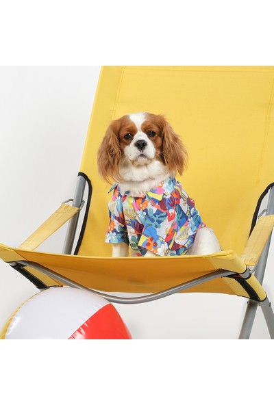 Apac.co Köpek Kıyafeti Hollie Resort Gömlek