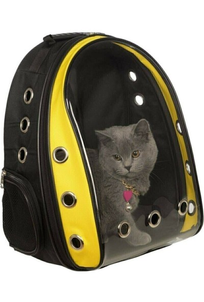 Mavi Kaktüs Sarı Siyah Astronot Kırılmaz Şeffaf Kedi Köpek Taşıma Çantası 42 x 22 x 33 cm Mavi Kaktüs Sarı Siyah Astronot Kırılmaz Şeffaf Kedi Köpek Taşıma Çantası 42 x 22 x 33 cm