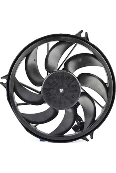 BSG Peugeot 206 (250W) Fan Motoru 2004 ve Üstü Yıllar