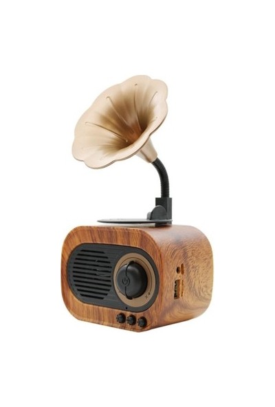 Owwotech B5 Nostaljik Mini Radyo Gramofon Bluetooth/radyo/usb/sd Speaker