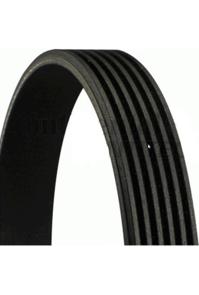 Contitech Mercedes V Kayısı 1996 ve Üstü Yıllar SPRT.315.CDI -E.240,280,430.T- CLK.240,320-C.240,280-E.55 AMG-E.200.CGI Contitech Mercedes V Kayısı 1996 ve Üstü Yıllar SPRT.315.CDI -E.240,280,430.T- CLK.240,320-C.240,280-E.55 AMG-E.200.CGI