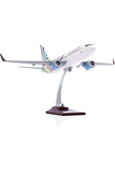 Zekupp 1:100 Boeing 737-800 Model Uçak, Özel Renkli Uçak Maketi, Uçmayı Sevenler Için Dekoratif Kaideli Ürün, Koleksiyonerler Için Lisanslı Uçak Zekupp 1:100 Boeing 737-800 Model Uçak, Özel Renkli Uçak Maketi, Uçmayı Sevenler Için Dekoratif Kaideli Ürün, Koleksiyonerler Için Lisanslı Uçak