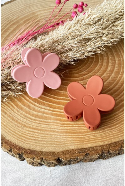 Takıştır Ikili Karışık Renk Çiçek Figürlü Mandal Toka Set