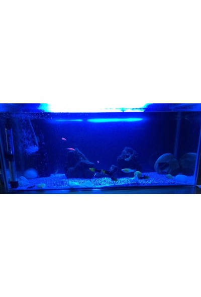 Linhart Akvaryum LED Aydınlatma Royal Mavi Renk 20 cm