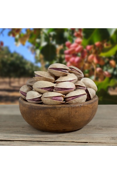 Hacı Mümtaz Antep Fıstığı Hacı Mümtaz Antep Fıstığı