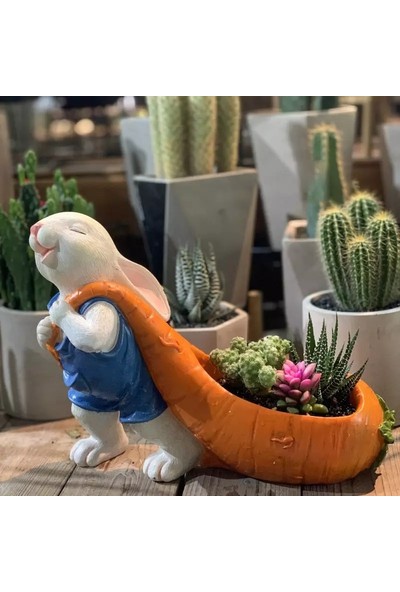 Eryaman Hobi Evi Saksılı Tavsan Eryaman Hobi Evi Saksılı Tavsan