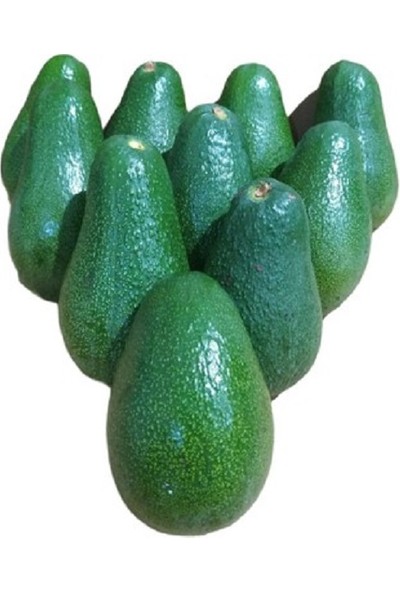Tunç Antalya Bahçemizden Avokado 220-270 gr 10'lu Tunç Antalya Bahçemizden Avokado 220-270 gr 10'lu