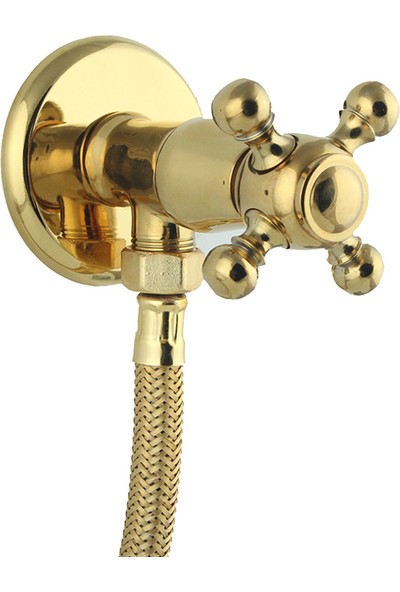 Fkn Altın Koç Taharet Musluğu Spiralli Fkn Altın Koç Taharet Musluğu Spiralli