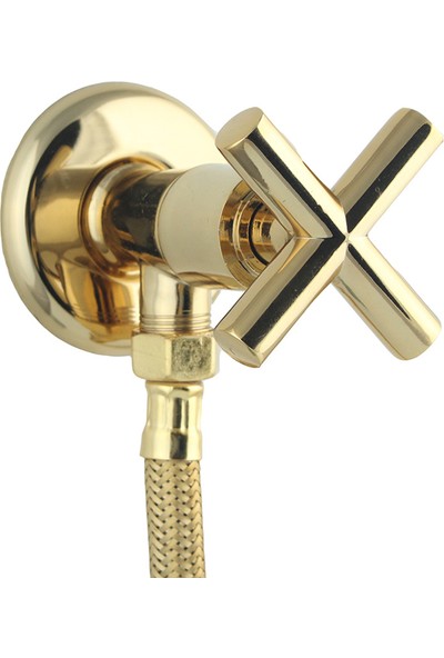 Fkn Köşegen Gold Taharet Musluğu Spiralli Fkn Köşegen Gold Taharet Musluğu Spiralli