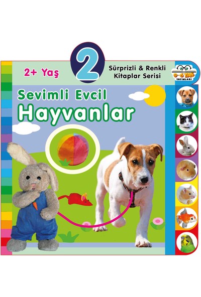 2 + Yaş Sevimli Evcil Hayvanlar