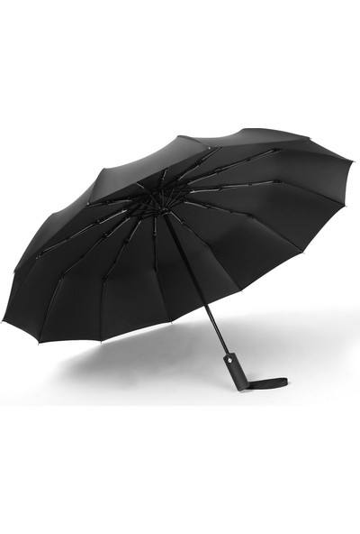 Sakuraa Um-20 12'li Otomatik Katlanır Şemsiye (Yurt Dışından)