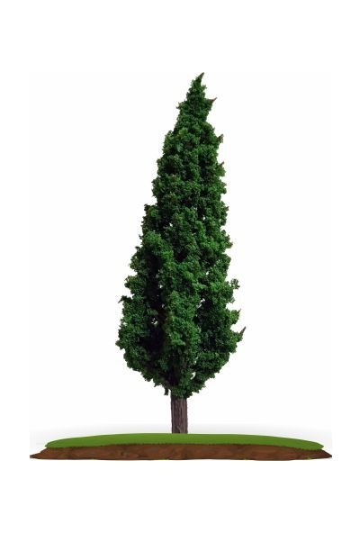 Vox Art 4'lü Maket Ağaç 1:100 Ölçek 6 cm (VT1205B-6)