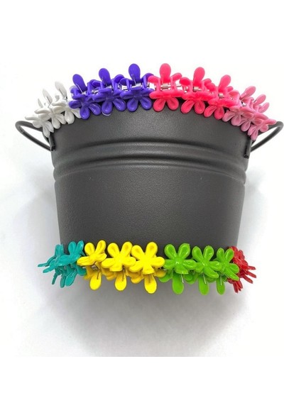 Combin Accessory 24LÜ Renkli Papatya Toka Combin Accessory 24LÜ Renkli Papatya Toka
