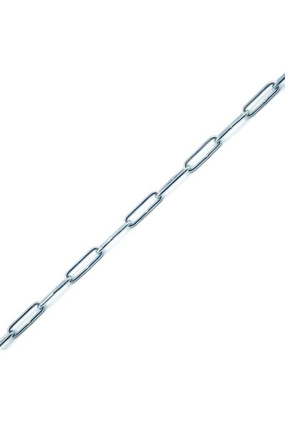 Force Chain 5685-(C) 2mm G30 Galvaniz Kaplamalı 5 Mtr Zincir Force Chain 5685-(C) 2mm G30 Galvaniz Kaplamalı 5 Mtr Zincir