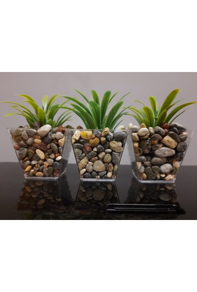Süs Ağacı 3’lü Çakıl Saksıda Yapay Yeşillik Yapay Çiçek 6 cm x 10 cm