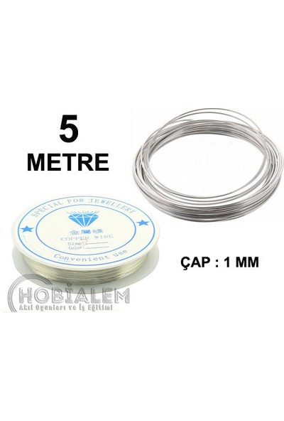 Hobialem 5 Metre Alüminyum Tel 1 mm Kalınlık Makara Tel Tasarım Hobi ve Deney Teli Hobialem 5 Metre Alüminyum Tel 1 mm Kalınlık Makara Tel Tasarım Hobi ve Deney Teli