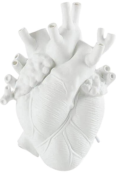 Dolity Kalp Şekli Çiçek Vazo (Yurt Dışından)