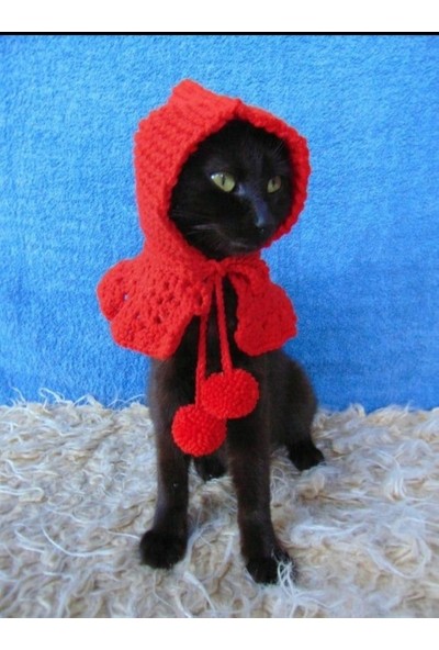 Kırmızı Başlıklı Kız Şapkası , Kedi Şapkası&aksesuarı , Pet Shop, Pet Fashion, Moda, El Yapımı