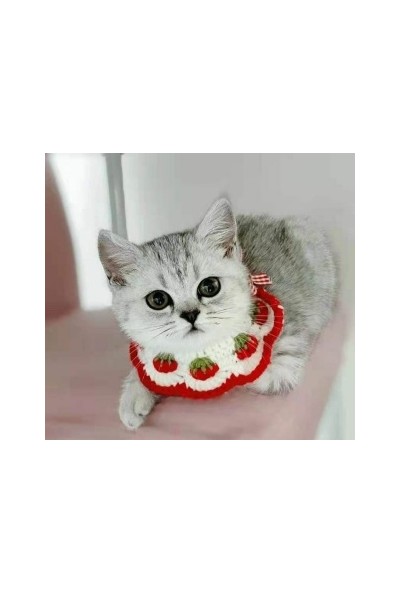 Sevimli Çilek Kedi Boyunluğu,tasması& Aksesaur , Pet Ürün, Tasarım