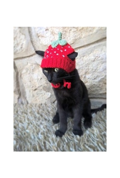 Sevimli Çilek Kafa Kedi Şapkası&başlığı ,  Antibakteriyel Ip Örgü, Fenomen, Evcil Hayvan, Pet