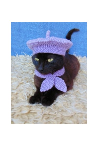 Ressam Picasso Entel Kedi Başlığı & Şapka, Fenomen El Yapımı Pet Ürün Ölçülerine Özel Üretim