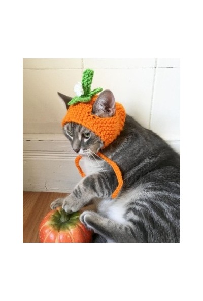 Bal Kabağı Kedi Şapkası&başlığı ,  Antibakteriyel Ip Örgü, Fenomen, Evcil Hayvan, Pet, Aksesuar