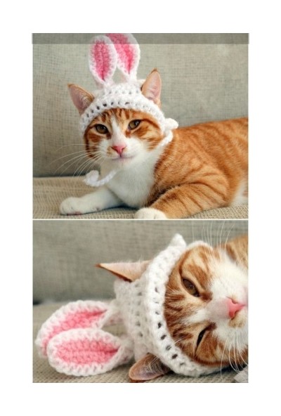 Tavşan Kulaklı Kedi Şapkası&başlığı ,  Antibakteriyel Ip Örgü, Fenomen, Evcil Hayvan, Pet, Aksesuar