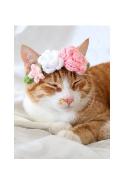 El Örmesi Çiçek Tacı Kedi Şapkası&başlığı ,  Antibakteriyel Ip Örgü, Fenomen, Evcil Hayvan, Pet, Aksesuar