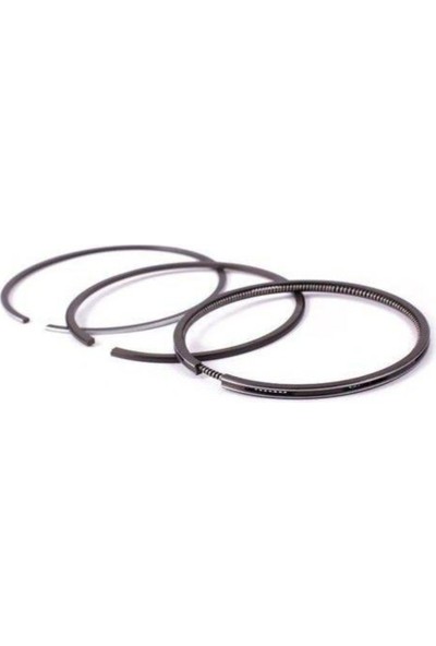 FEDERAL Opel Insıgnıa Segman 2009 ve Üstü Yıllar FEDERAL Opel Insıgnıa Segman 2009 ve Üstü Yıllar