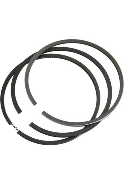 FEDERAL Renault Megane / Scenıc / Qashqaı R9M 402 Segman 2014 ve Üstü Yıllar