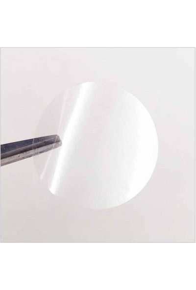 Msticker Şeffaf Kutu Ağız Kapatma Sticker 2,5 cm 1000'li