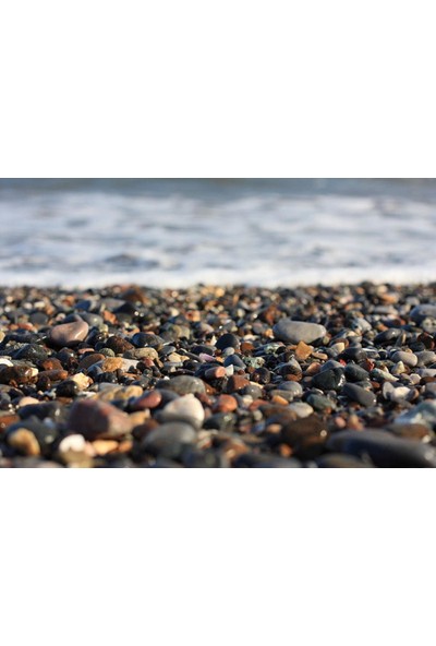 Hd Marketim Doğal Deniz Taşı 1-3cm Aralığında 1 kg Teraryum Akvaryum Çiçek Süsleme Hd Marketim Doğal Deniz Taşı 1-3cm Aralığında 1 kg Teraryum Akvaryum Çiçek Süsleme