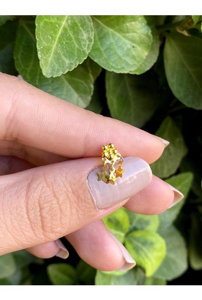 BayarGold 14 Ayar Altın Geçirmeli Hızma