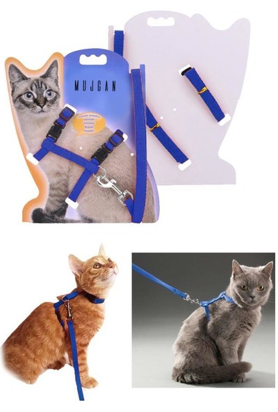 Kedi Göğüs Tasması Gezdirme Seti Mavi