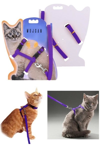 Kedi Göğüs Tasması Gezdirme Seti Mor