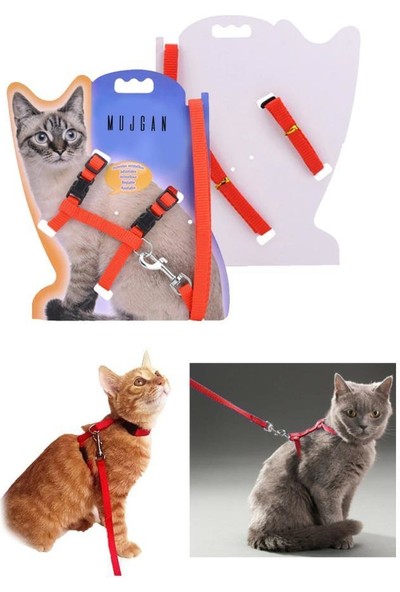 Kedi Göğüs Tasması Gezdirme Seti Kırmızı