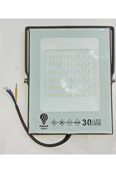 Forest 30 W Projektör Ip 66 (Toza ve Suya Dayanıklı) Işık Rengi: Beyaz IP66 Forest 30 W Projektör Ip 66 (Toza ve Suya Dayanıklı) Işık Rengi: Beyaz IP66