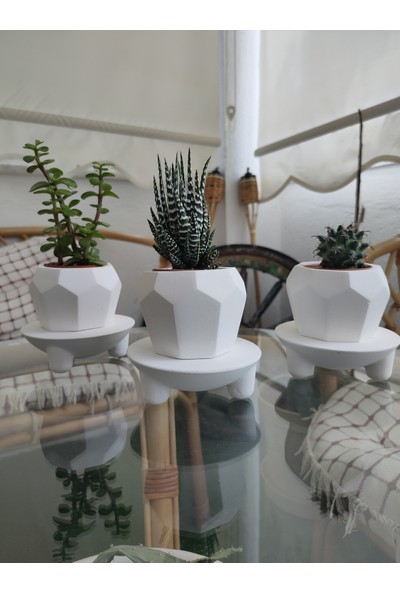 Trendchack 3'lü Dekoratif Beton Beyaz Renkli Sukulent ve Kaktüs Için Saksı ve Ayaklı Saksı Altlığı Trendchack 3'lü Dekoratif Beton Beyaz Renkli Sukulent ve Kaktüs Için Saksı ve Ayaklı Saksı Altlığı