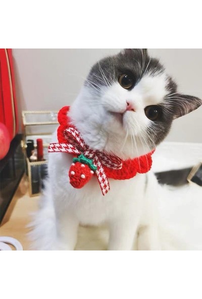 Çilekli Kedi Kolyesi / Tasması & Aksesuar , Fenomen El Yapımı Ölçünüze Özel Üretim