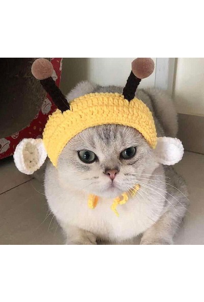 Arı Vız Vız ,sevimli Arı Kedi Şapkası&başlığı ,  Antibakteriyel Ip Örgü, Fenomen, Evcil Hayvan, Pet