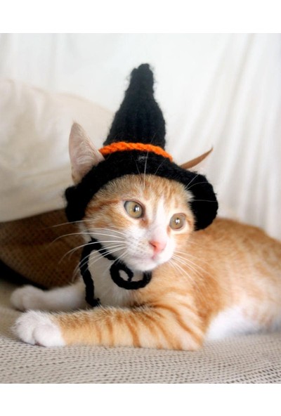 Harry Potter Hokuz Pokuz, Kedi Şapkası&başlığı ,  Antibakteriyel Ip Örgü, Fenomen, Evcil Hayvan, Pet