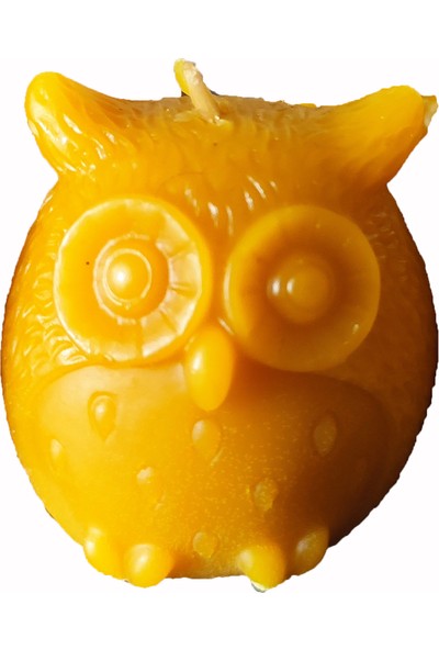 Yazla Arı Çiftliği Küçük Baykuş